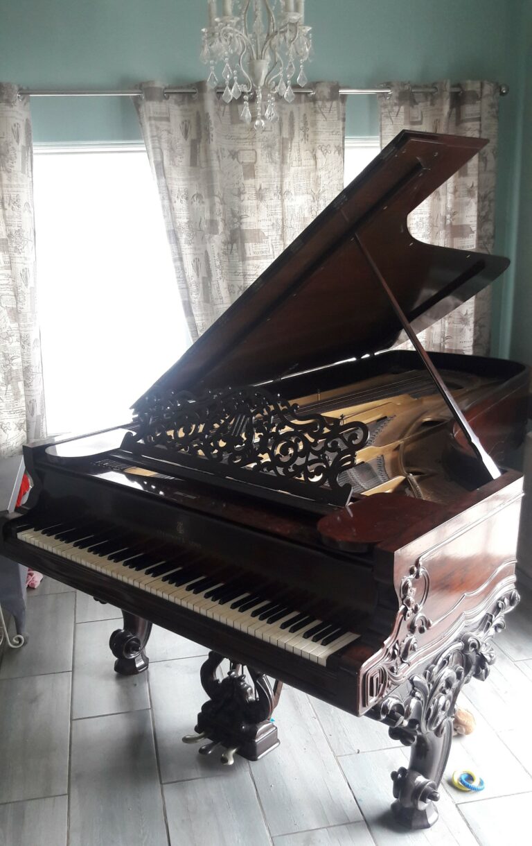 Steinway Piano Gallery | Eshelby Pianos
